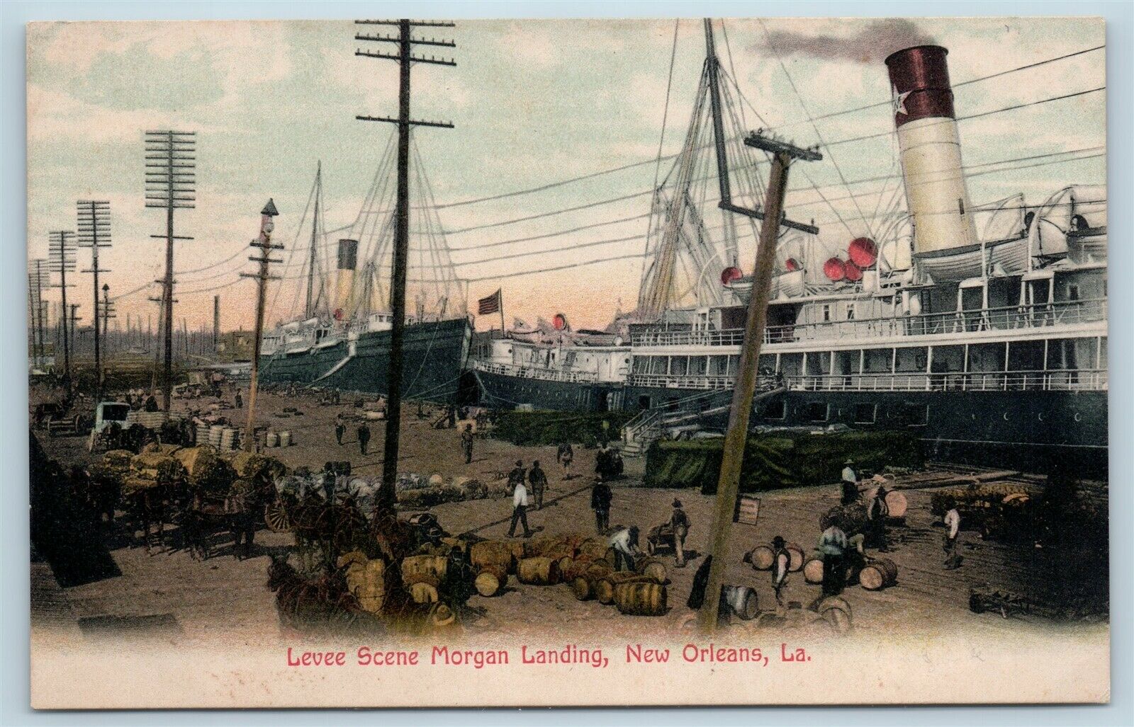 Postcard LA New Orleans Levee Scene Morgan Landing Loading Steamer ...