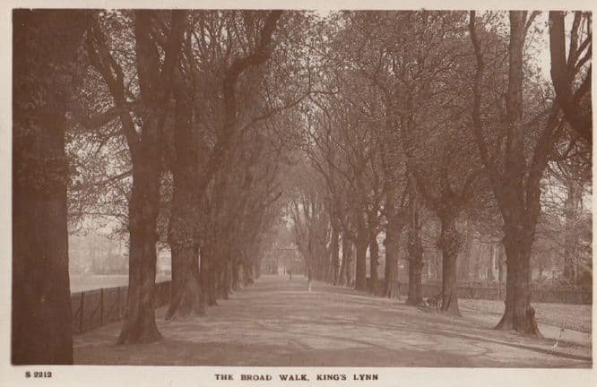The Broad Walk Kings Lynn Tree Lined Real Photo Vintage Postcard ...