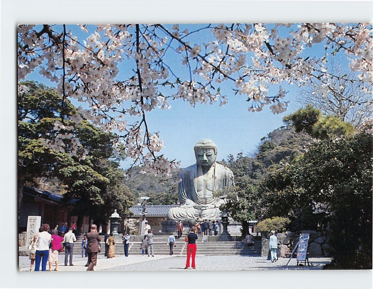 Postcard Great Buddha of Kamakura in the Time of Cherry Blossom ...