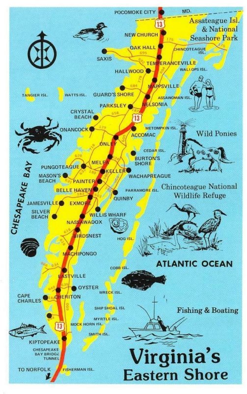VA, Virginia EASTERN SHORE Map Card c1960's Chrome Postcard | United ...
