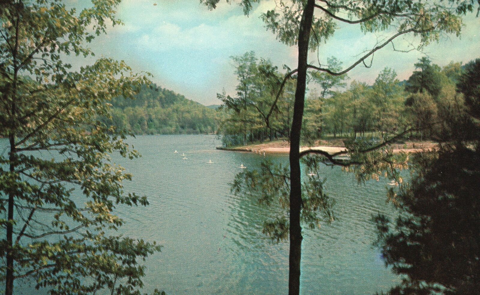 Vintage Postcard Virginia State Park Lakes & Sand Beaches South West VA ...