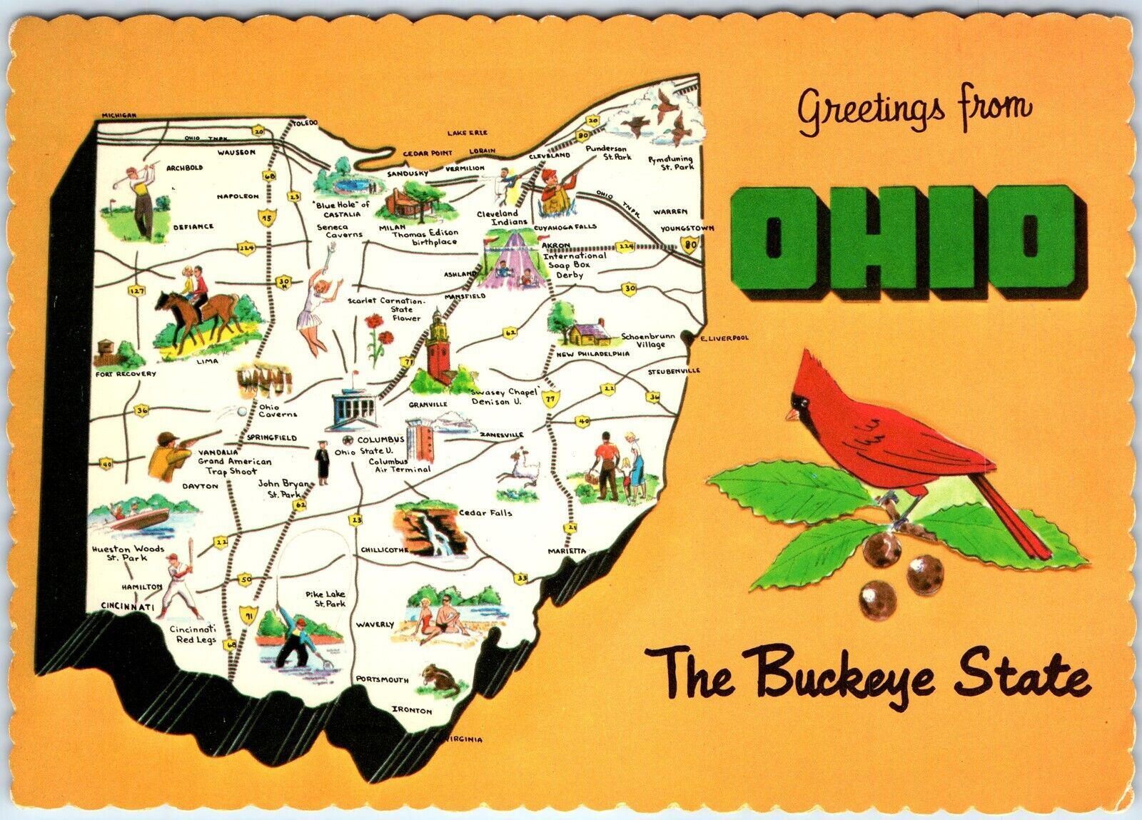 c1970s OH, Ohio Greetings from Buckeye State Map Legend Cardinal Bird ...