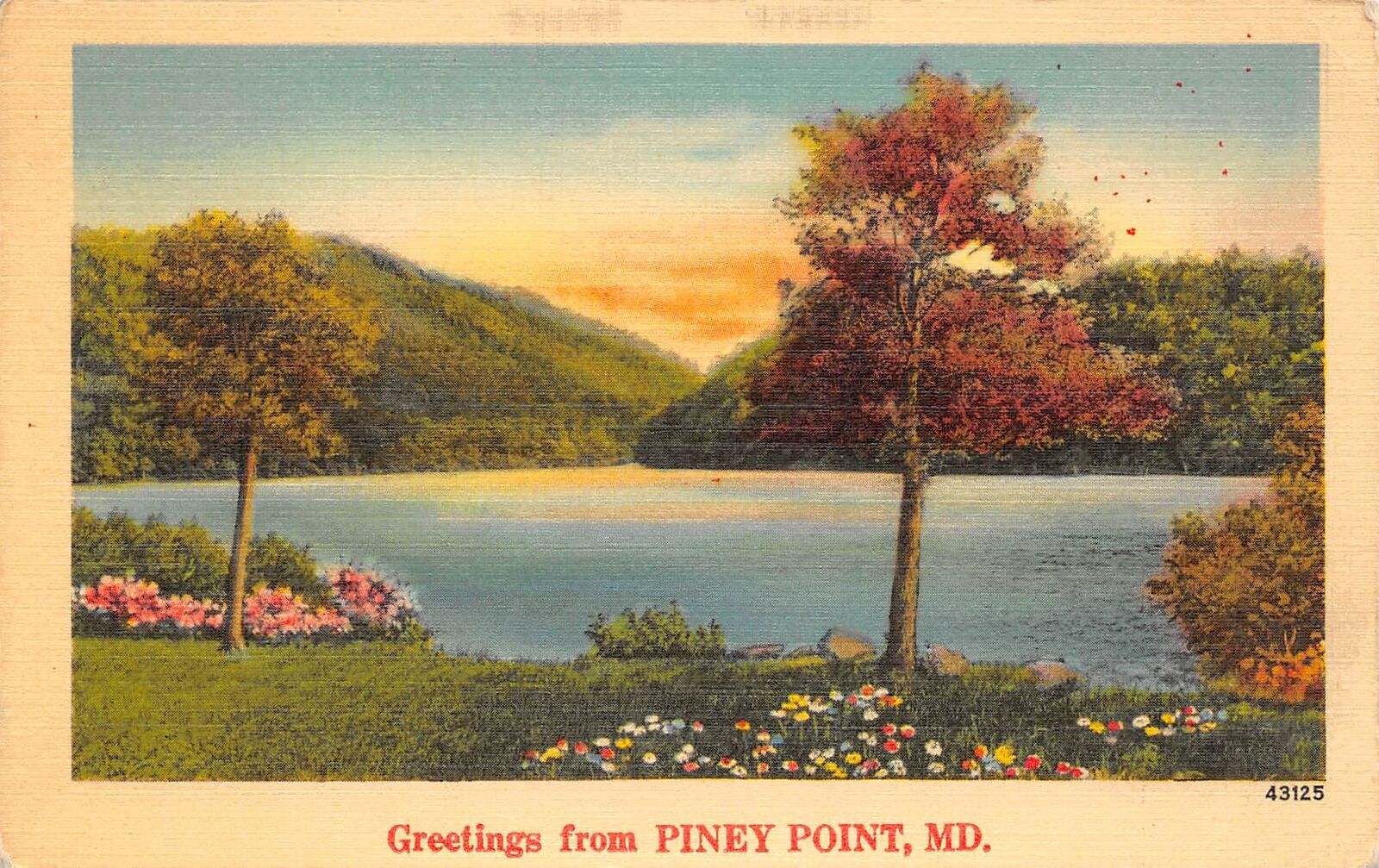 Piney Point Maryland Greetings From Piney Point, Color Linen Vintage PC ...