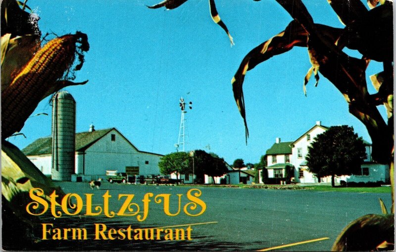Stoltzfus Farm Restaurant Windmill Dog parking Lot Silo Corn Stalks ...