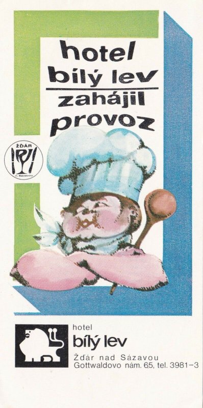 Czechoslovakia Gottwaldovo Hotel Bily Lev Vintage Luggage Label sk4450 ...