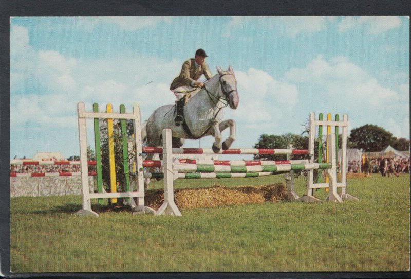 Sports Postcard - Horses - Show Jumping - In The Show Ring T2866 ...