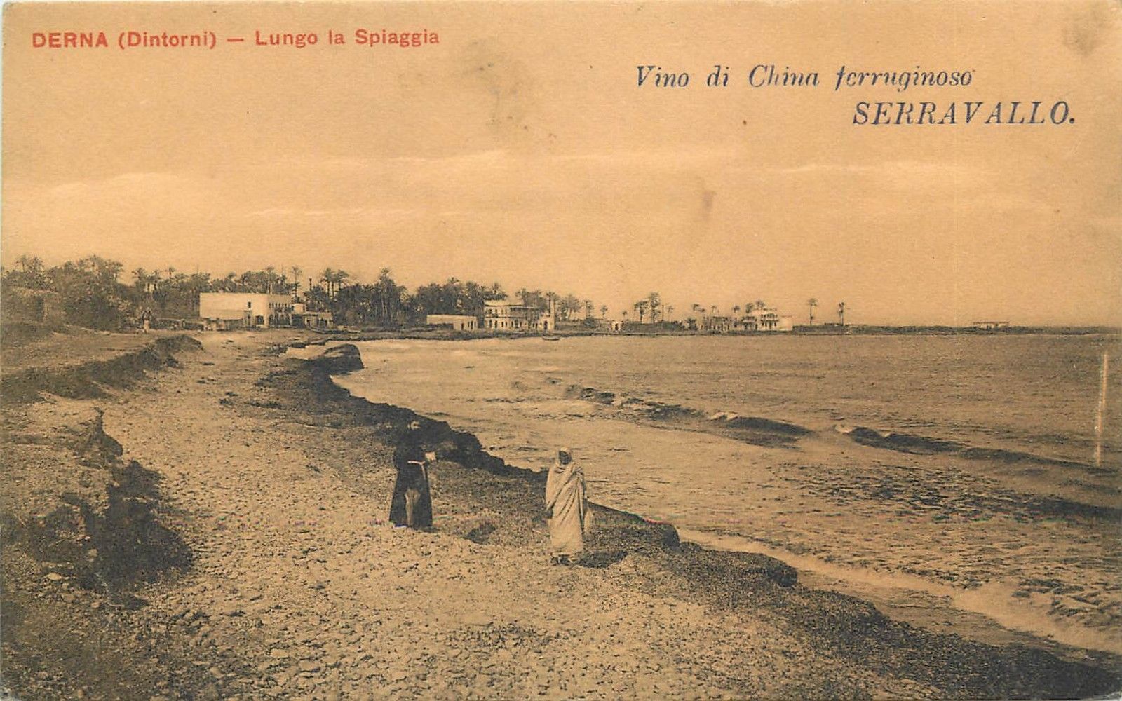 Libya Dernah Africa beach monk - China Ferruginous Serravallo Wine ...