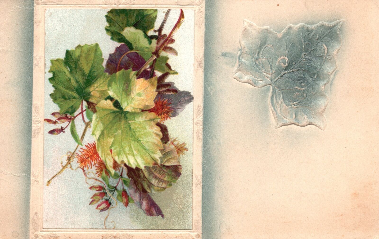 Vintage Postcard 1909 Beautiful Autumn Maple Leaves Branch Tree Artwork ...