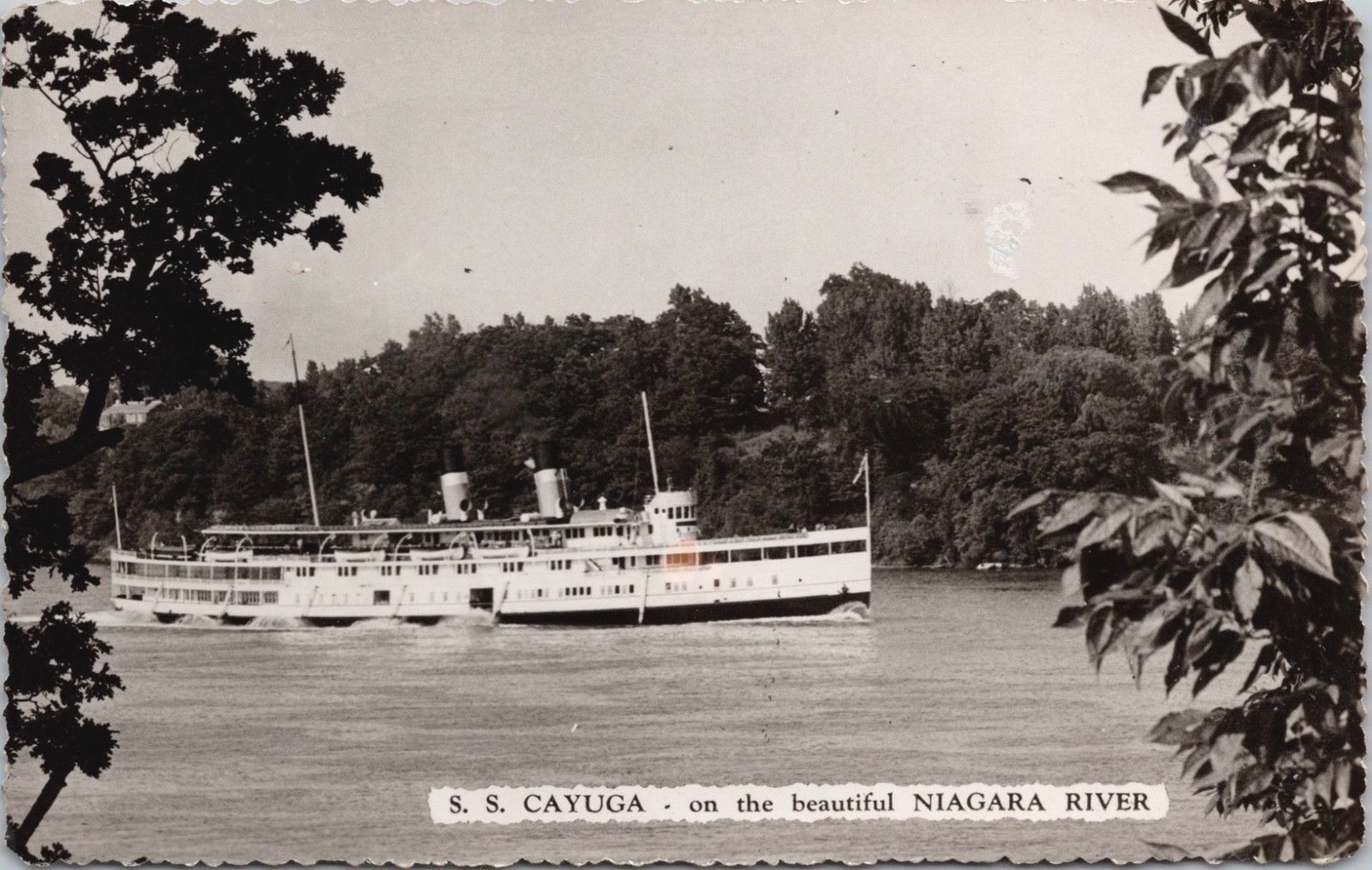 SS Cayuga Niagara River Ontario ON Steamer Ship Boat Real Photo ...