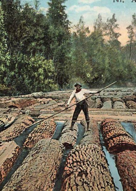 Lumberjack On Washington Log Raft Timber c1910 P164 | United States ...