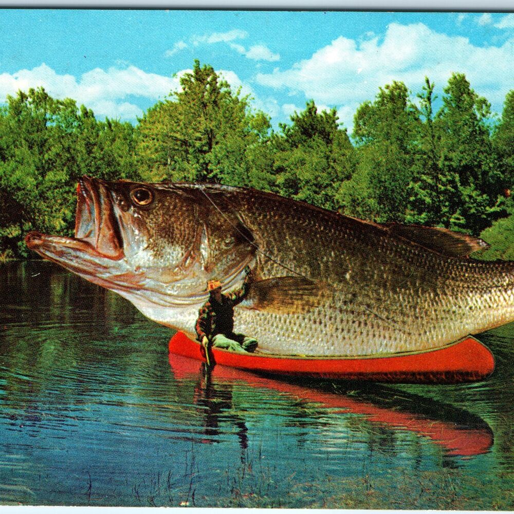 c1960s Giant Exaggerated Fish Canoe Boat Man Fisherman Big One Chrome ...