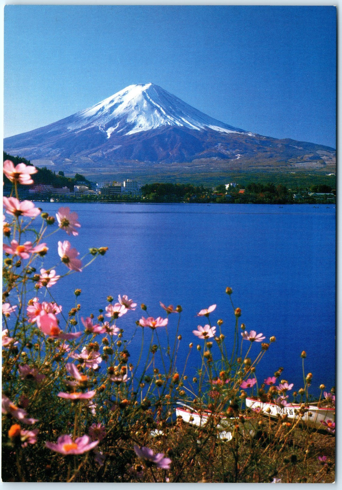 c1980s Mount Fuji, Japan Volcano Lake Pink Flowers Map Nippon Chrome ...