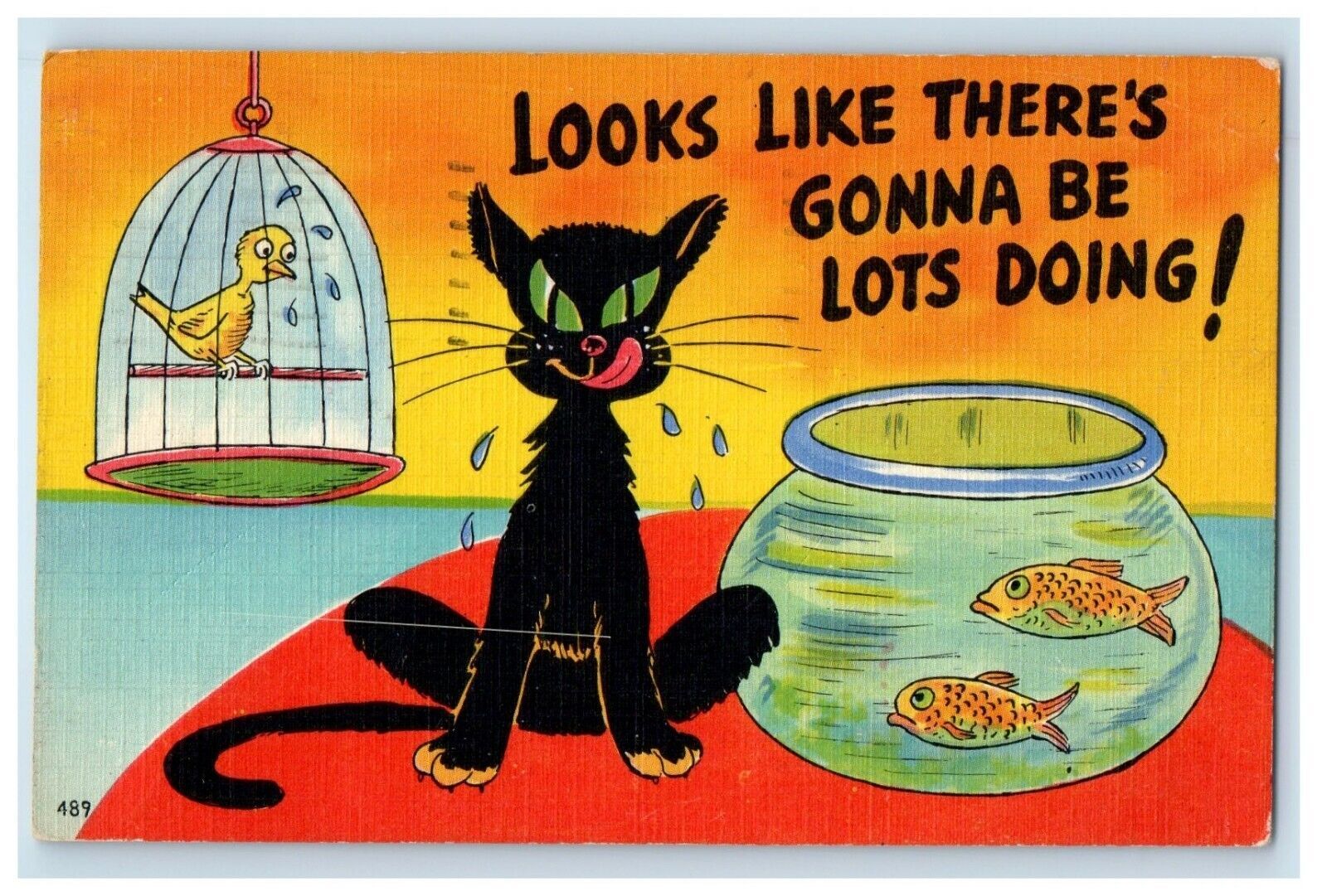 1949 Black Cat Kitten Eating Goldfish Bowl Tweedy Bird Cage Posted ...