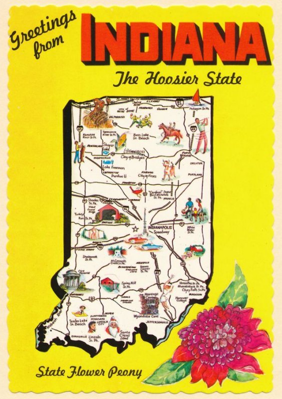 Greetings from Indiana the Hoosier State and State Flower Peony ...