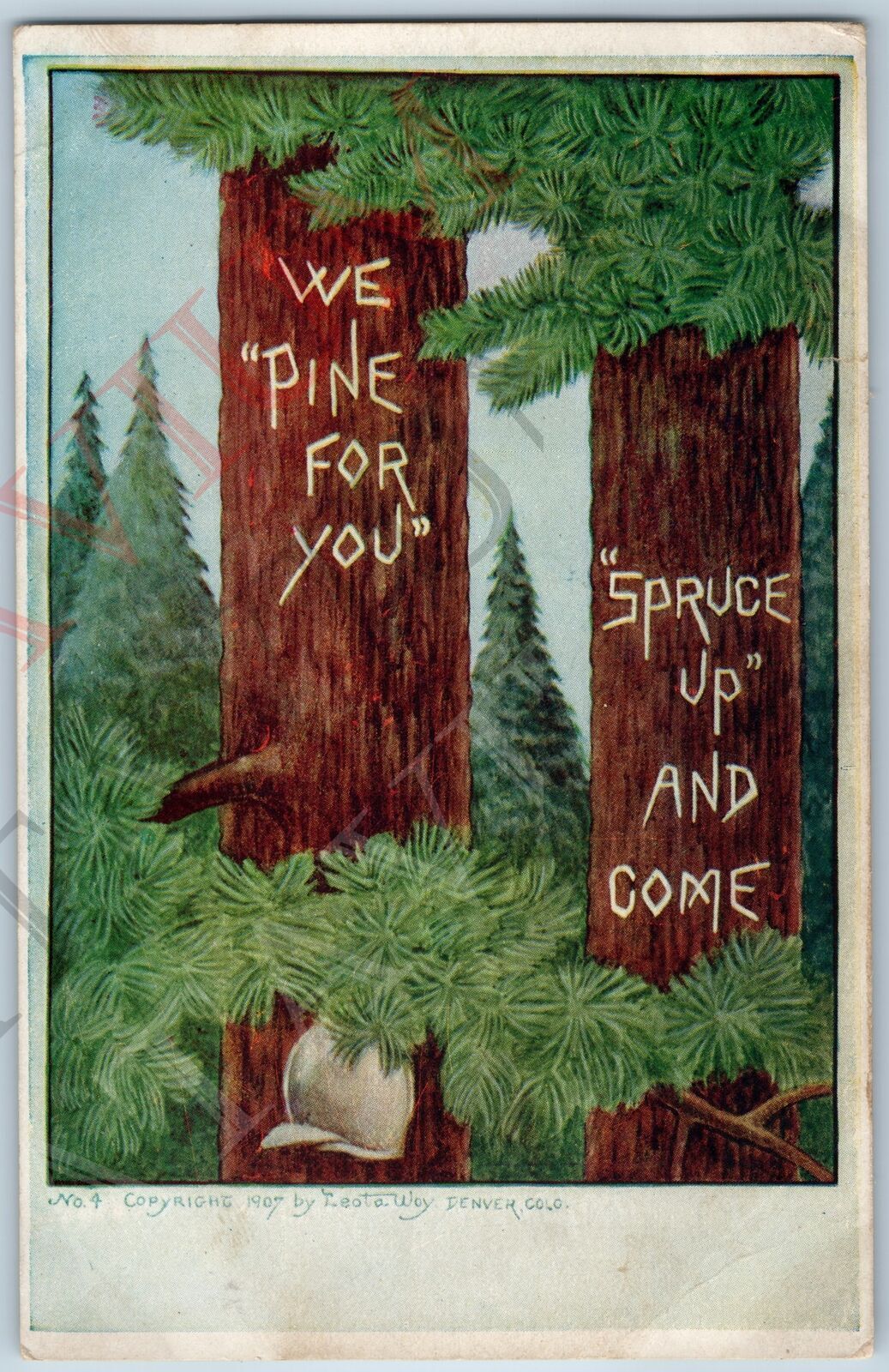 1907 Leota Way Comic Art Anthropomorophic Pine 4 U Spruce Trees Denver ...