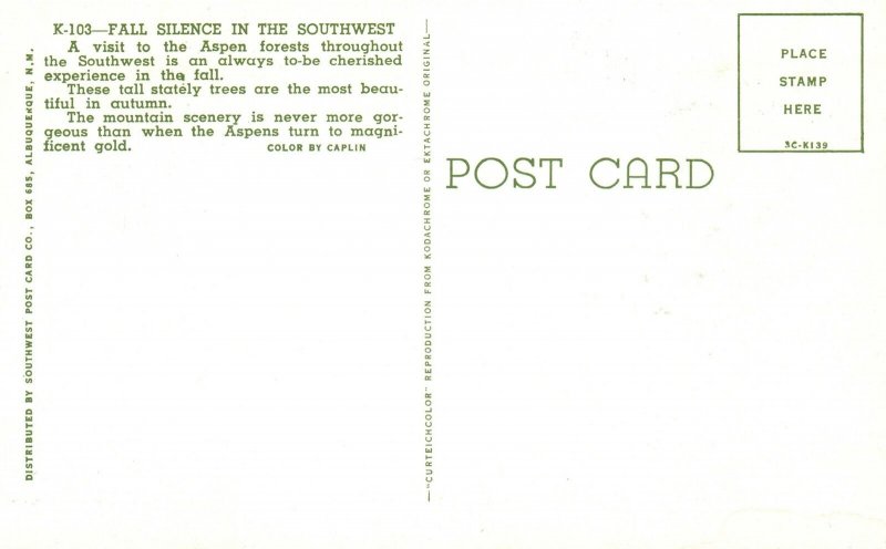 Vintage Postcard Fall Silence Southwest Aspen Forest Tall Trees ...