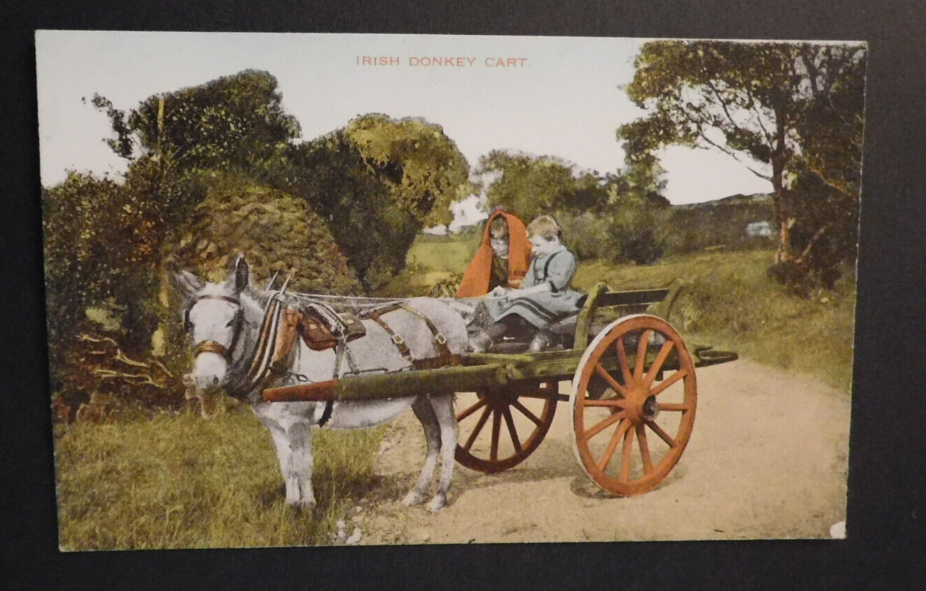 Mint Postcard Irish Donkey Cart Children Riding Path Dirt Road Trees ...