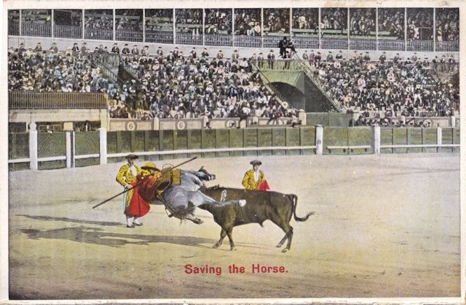 Saving The Horse Antique Matador Bullfighting 1920s Postcard | Europe ...
