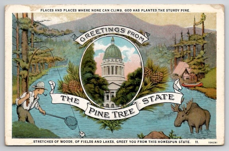 Greetings From Maine The Pine Tree State Scenic Fishing Moose Camp ...