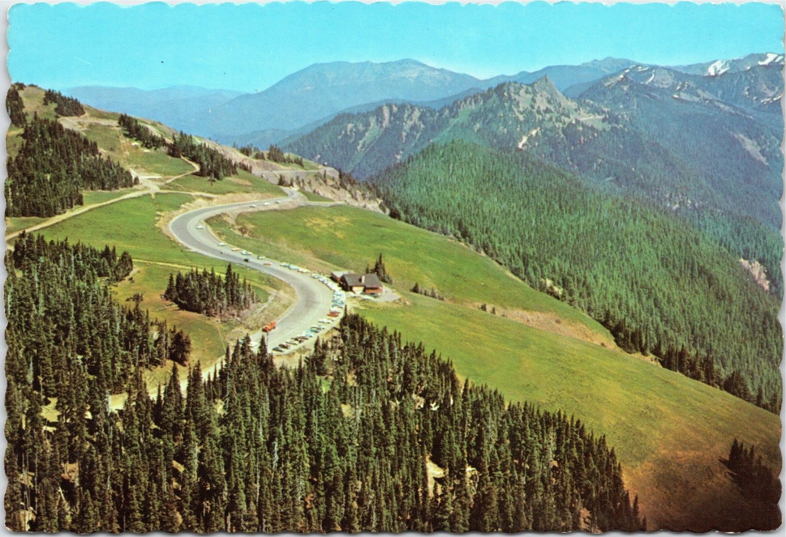 Hurricane Ridge in Olympic National Park | Other / Unsorted, Postcard ...