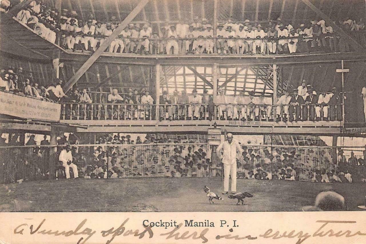 Cockpit Rooster Fighting Manila Philippines Postcard (C. 1910) | Asia ...