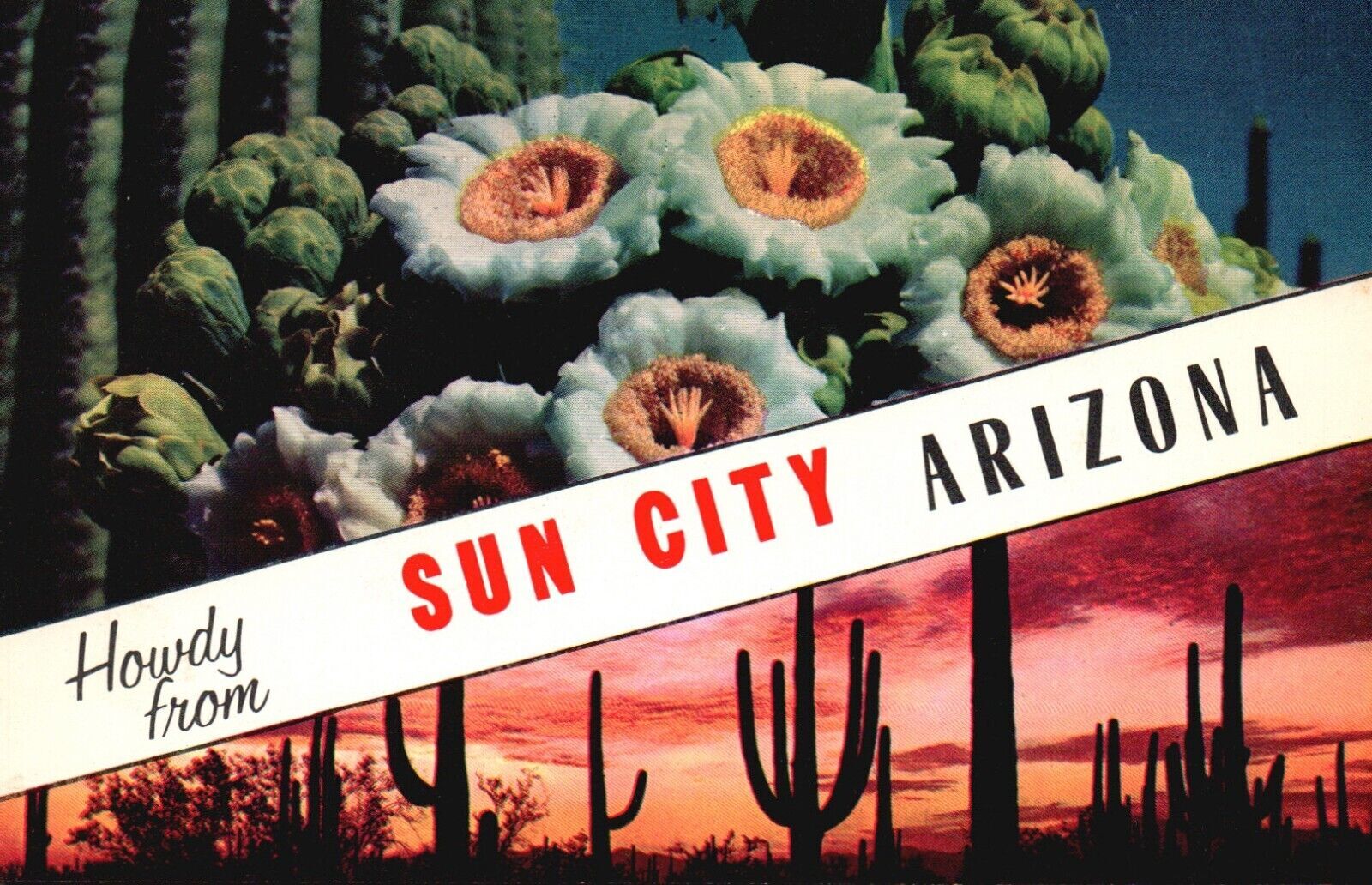 Postcard AZ Howdy from Sun City Arizona Multi View Chrome Vintage PC ...