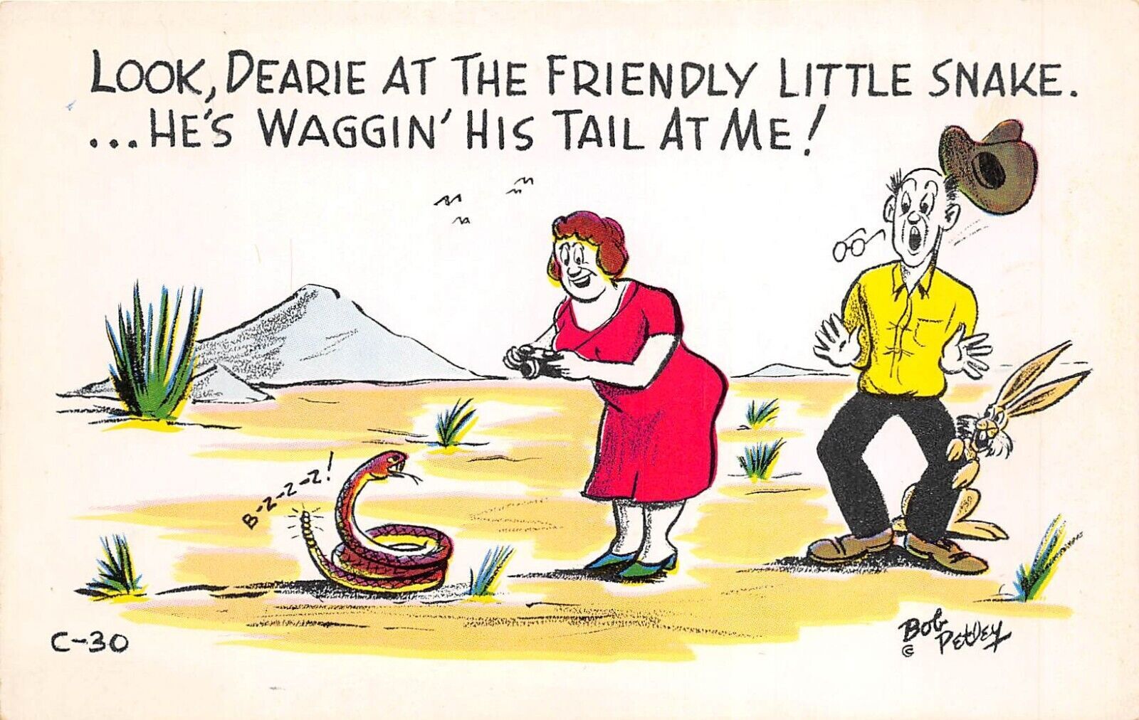 Western 1950s Comic Humor Postcard Bob Peltey Rattlesnake Waggin His ...