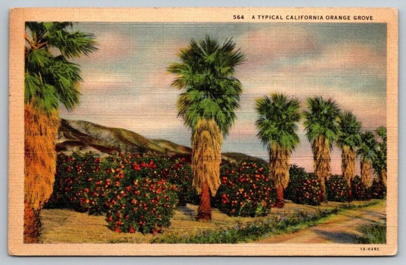 Vintage California Postcard - Typical Cali Orange Grove - 1937 | Europe ...