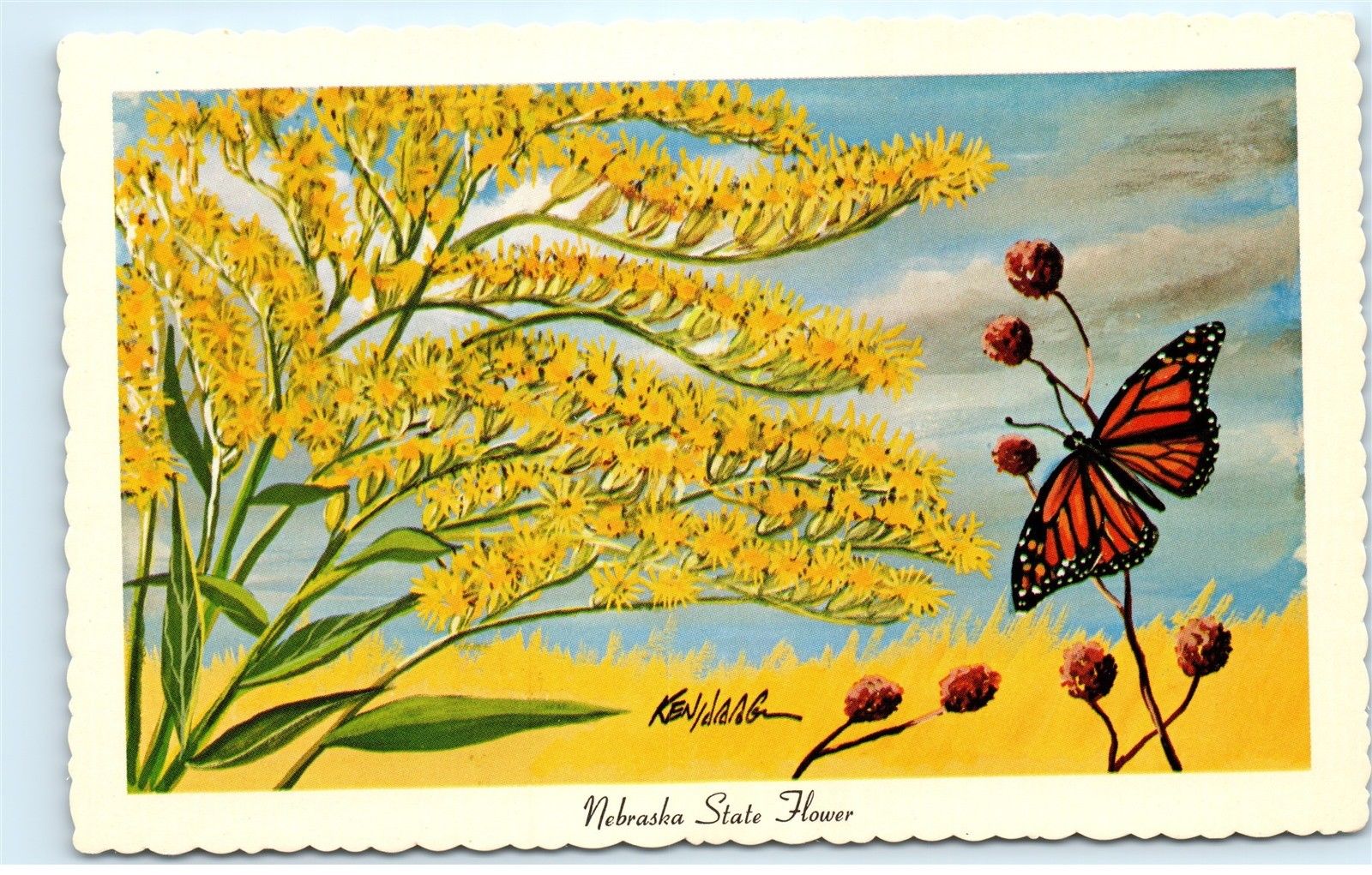 Nebraska State Flower Goldenrod Butterfly Ken Haag Painting Art ...