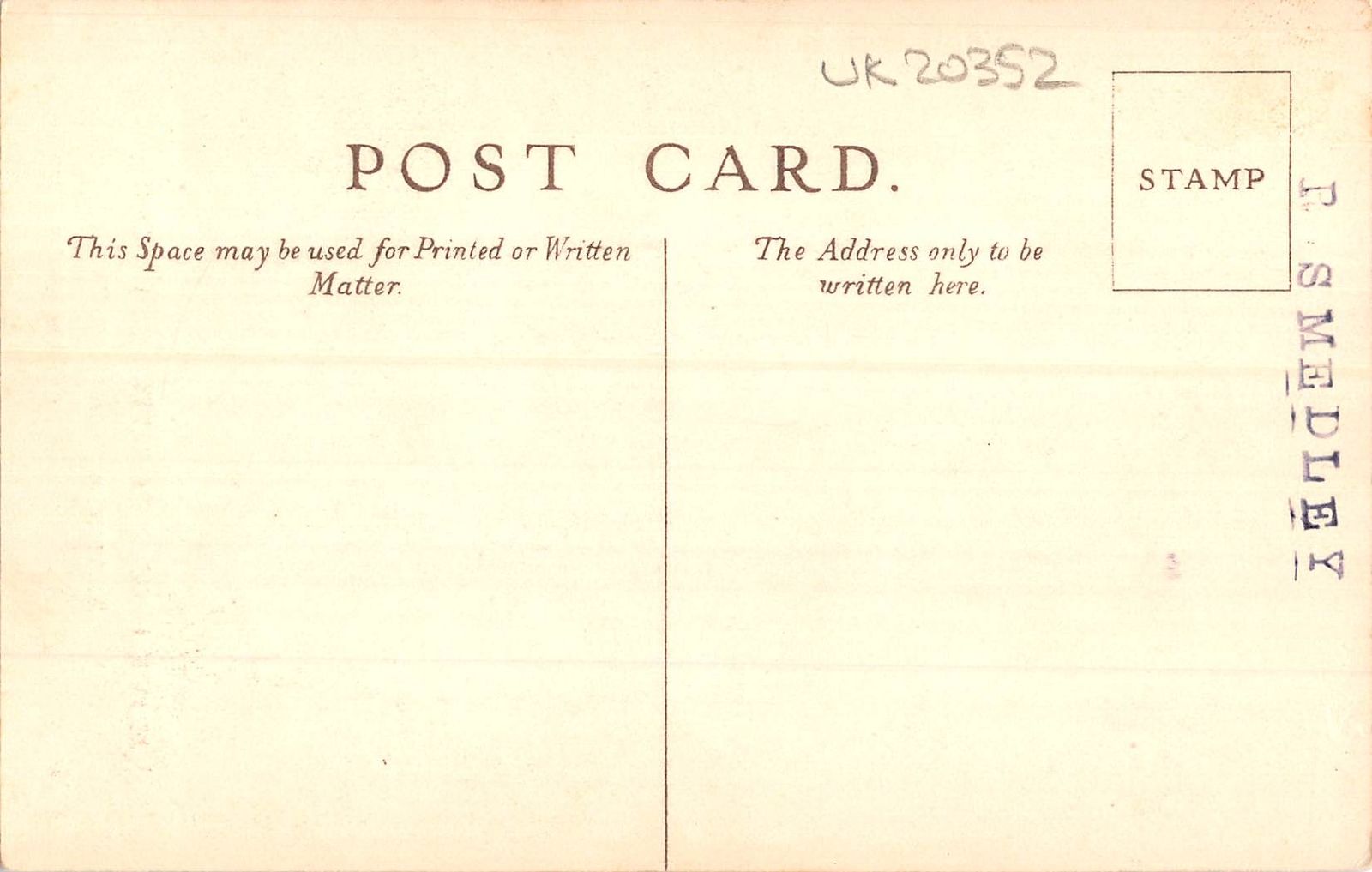 uk20352 section of big tree biritsh museum london real photo uk ...