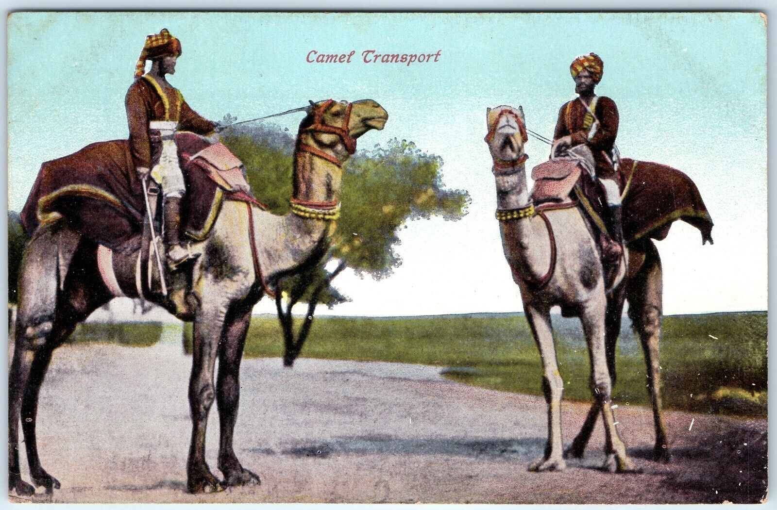 c1900s India Camel Transport Desert Riders Turbans Traditional Dress ...