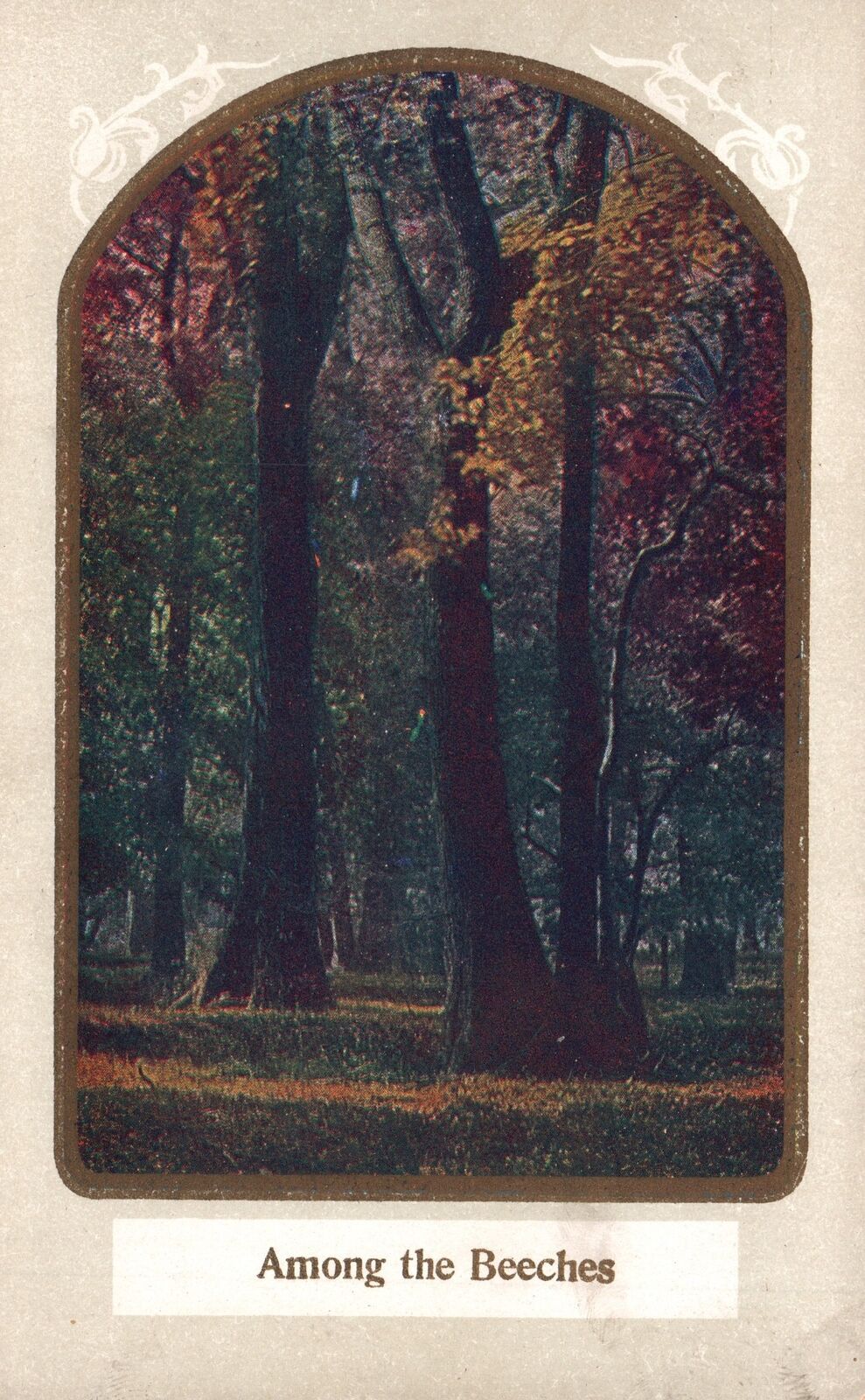 Vintage Postcard Among The Beeches Forest Park Giant Trees Green Field ...