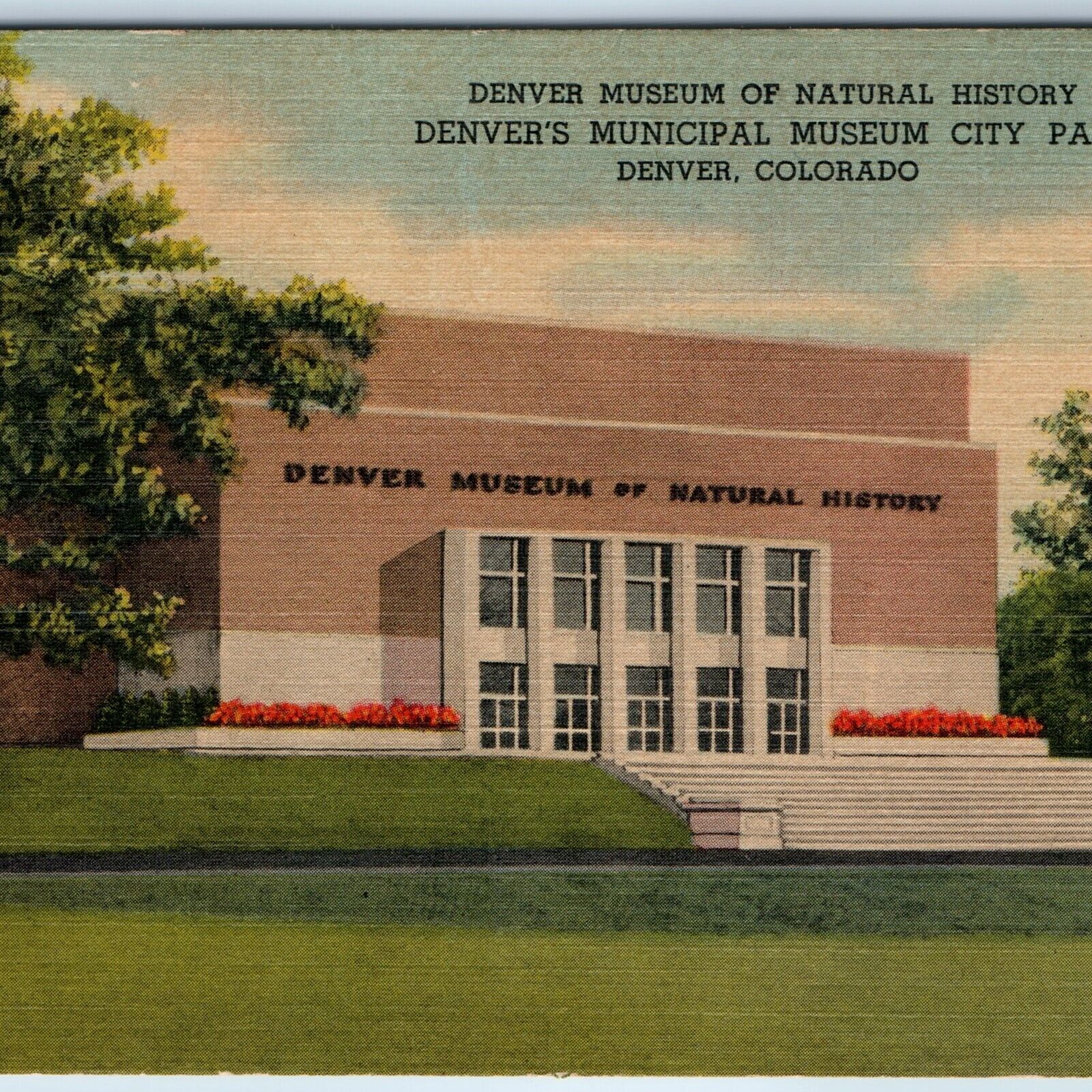 1954 Denver, CO Denver Museum of Natural History City Park Teich Photo ...