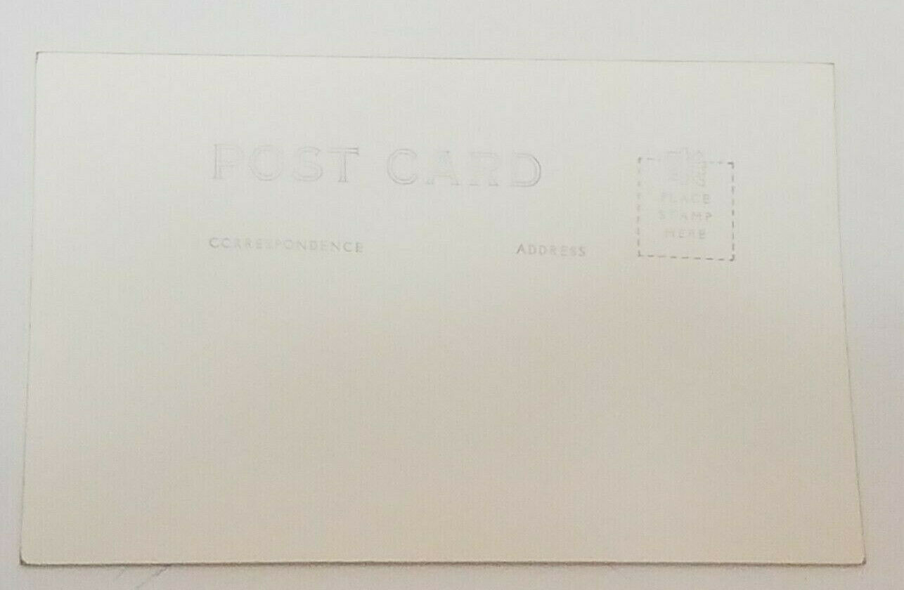 Vintage Real Photo Post Card RPPC Smoke Trees of Colorado Desert ...