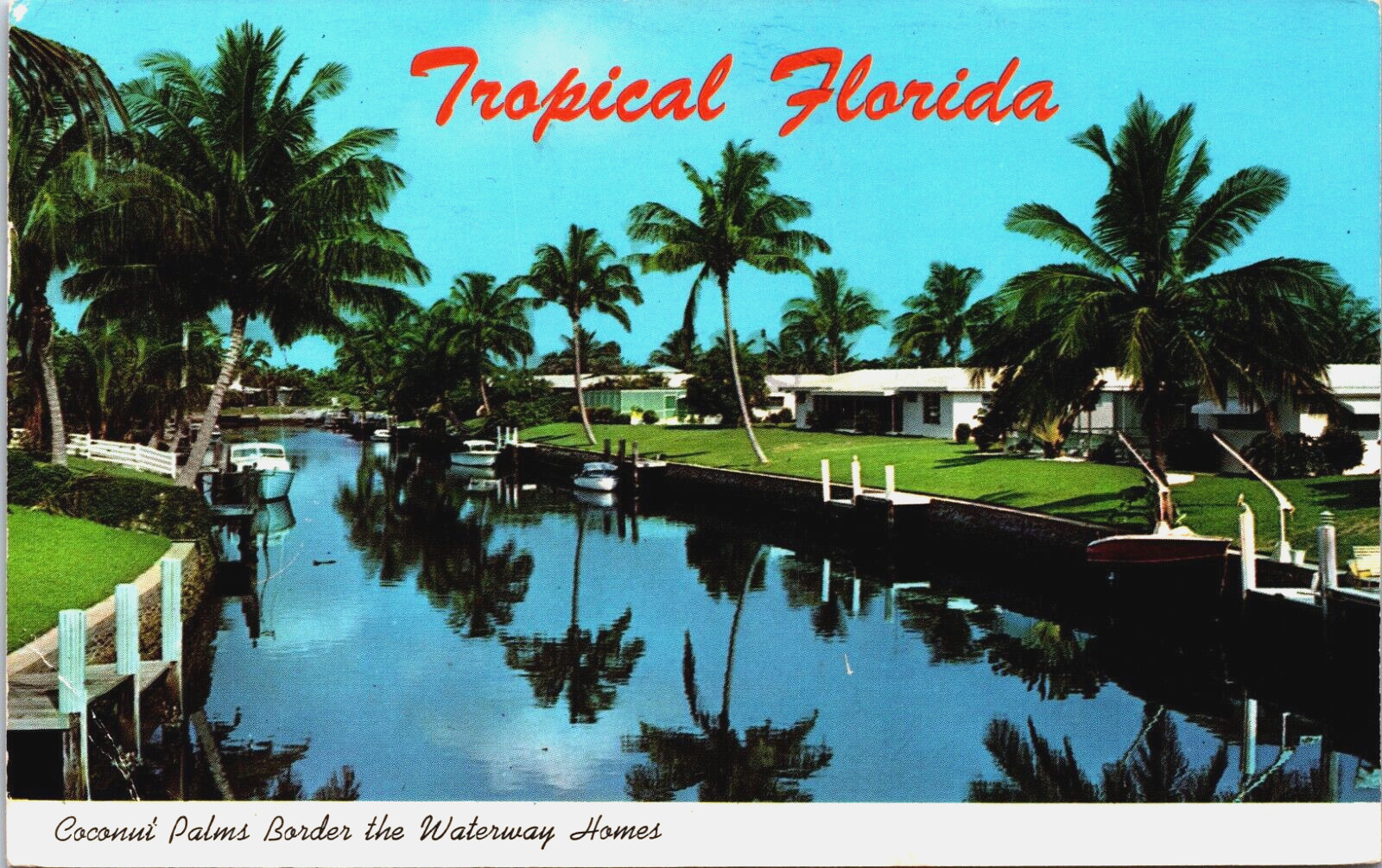 Tropical Florida Coconut Palms Border The Waterway Homes Postcard B186 ...