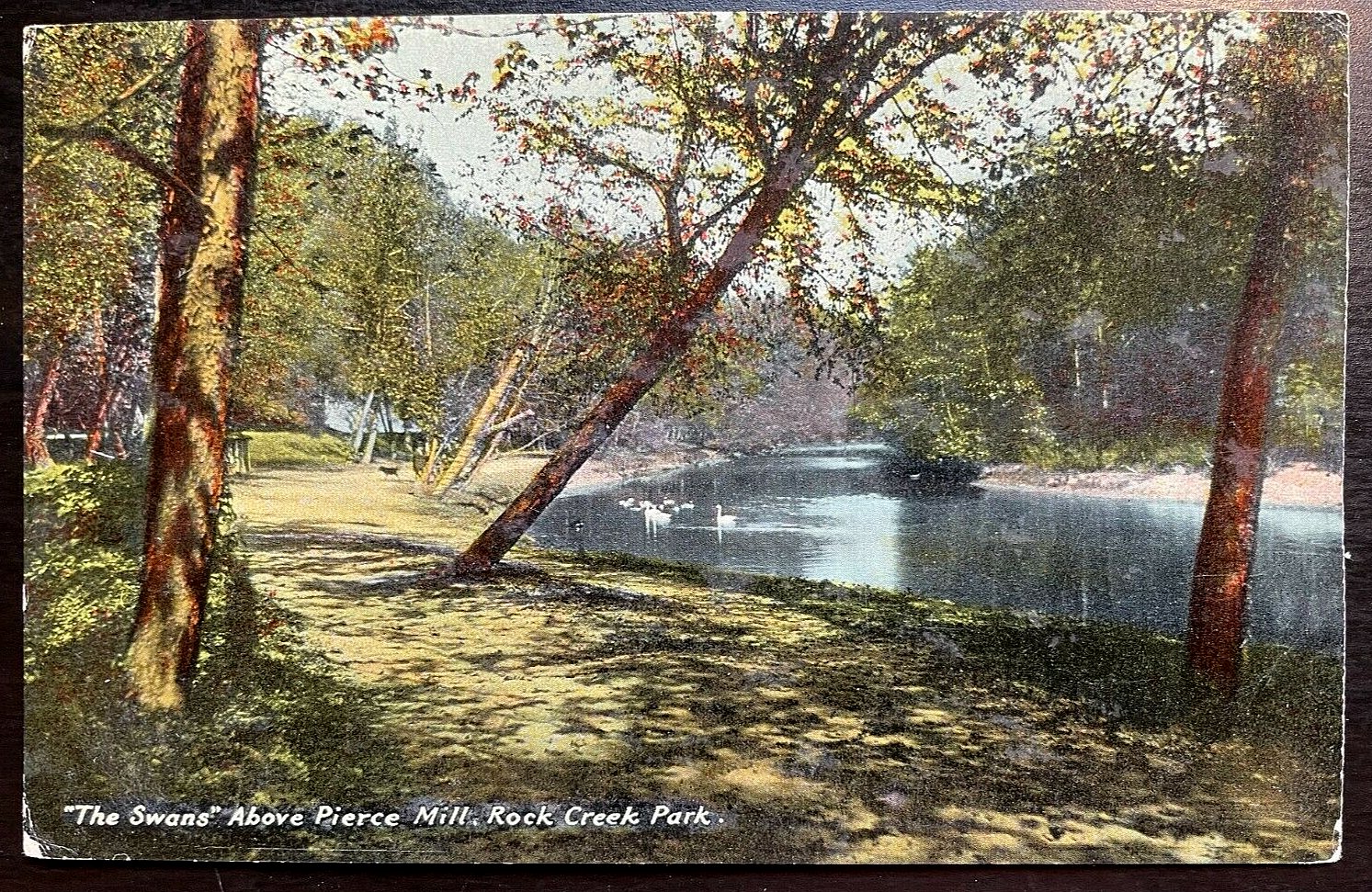 Vintage Postcard 1907-1915 Swans at Pierce Mill, Rock Creek Park ...