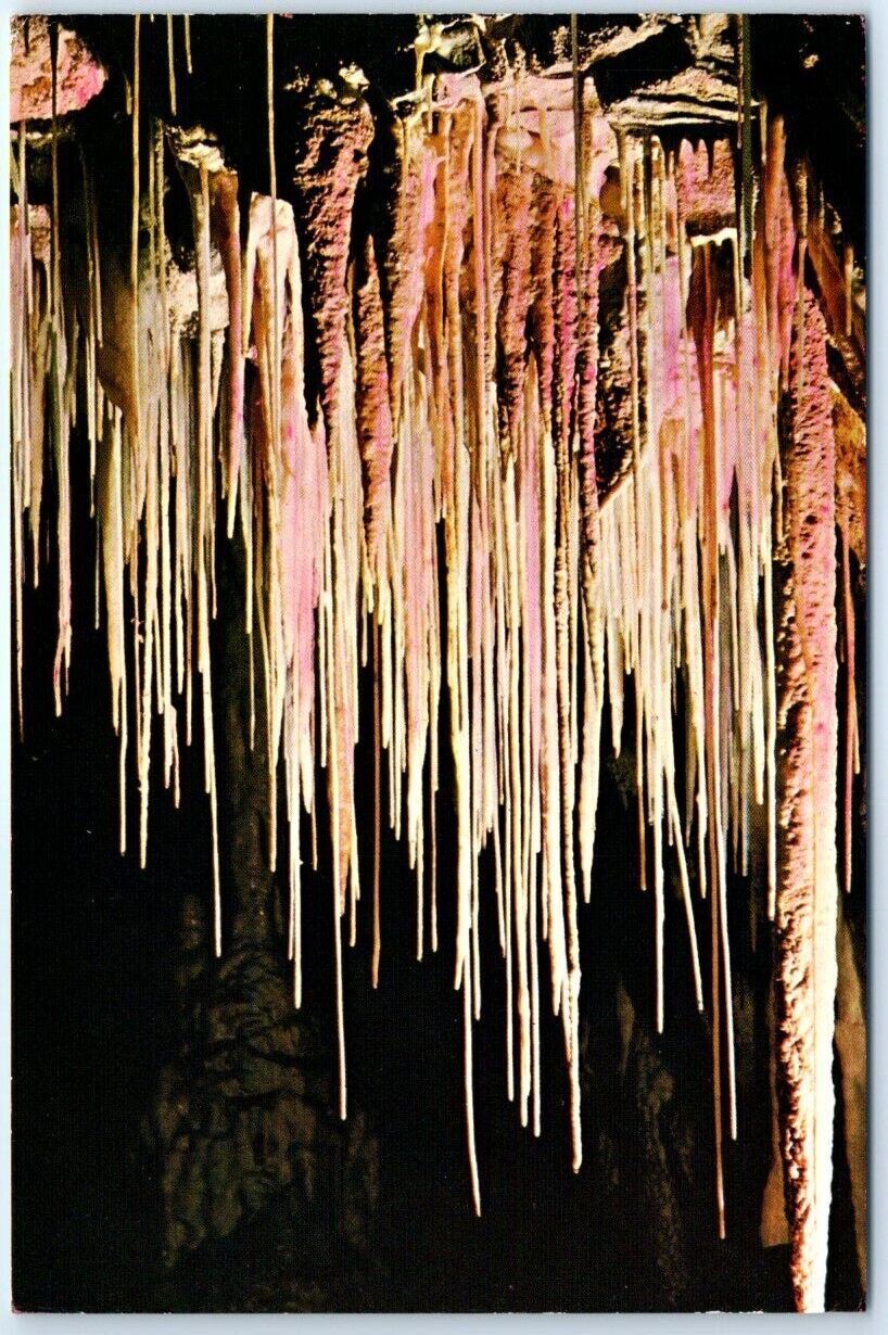 Postcard - Straw stalactites, Ruakuri Cave - Waitomo, New Zealand ...