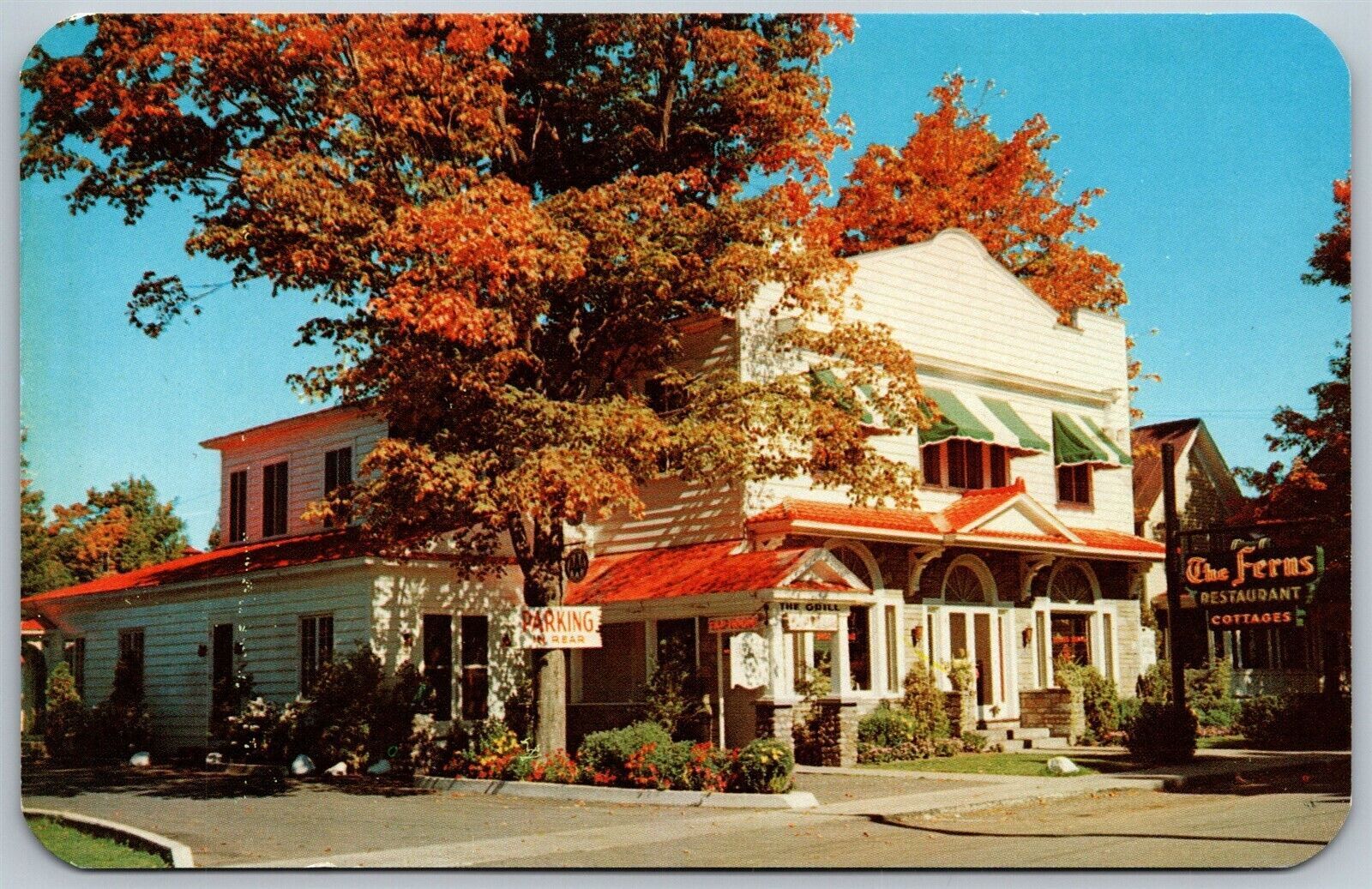 Vtg Old Forge New York NY The Ferns Restaurant & Cottages Postcard ...