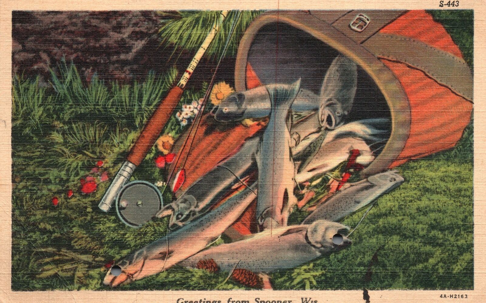 Vintage Postcard 1946 Fishes Catch Bag & Fishing Rod Spooner Wisconsin ...