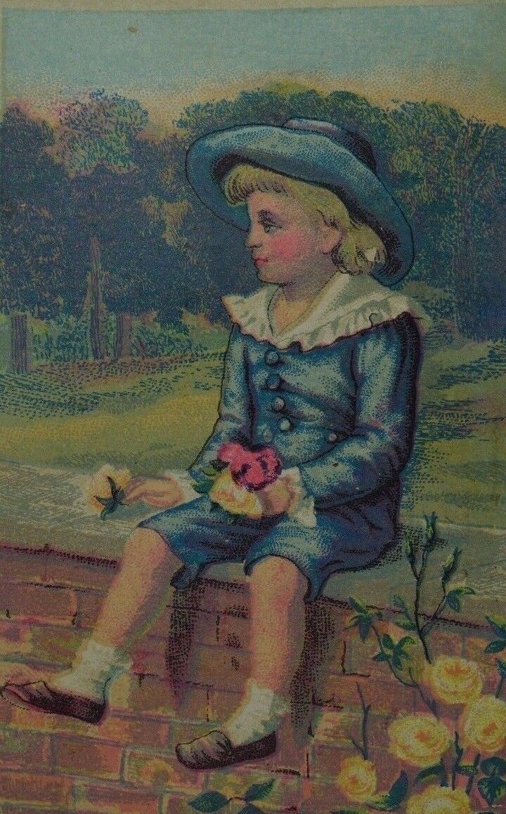 1870's-80's Loo Choo Mixed Tea Boy In Blue Brick Fence Yellow Roses F95 ...