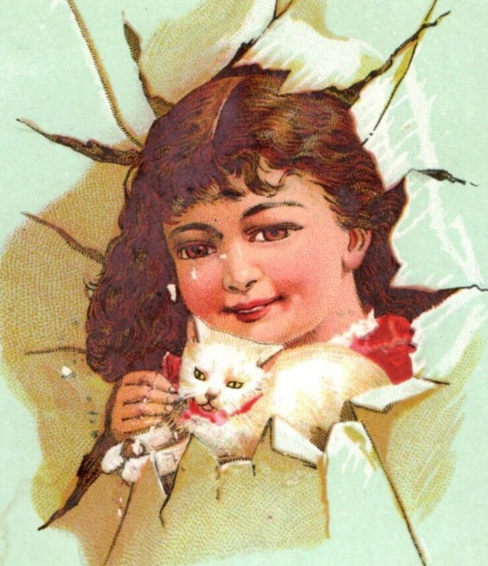1884 New Orleans World's Fair Willimantic Spool Cotton Girl & White Cat ...