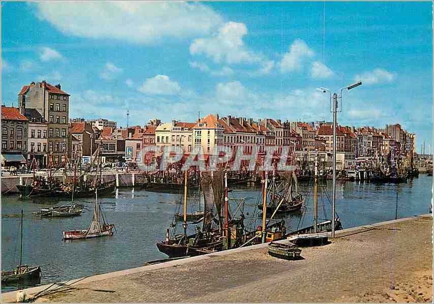 Modern Postcard Ostend Port des Pecheurs Boats | Africa - Algeria ...