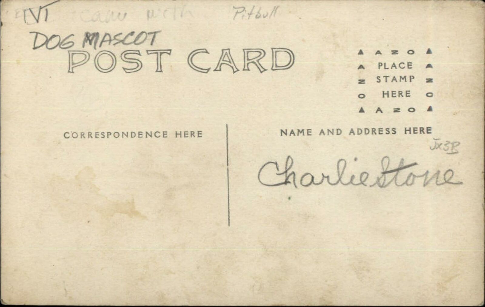 West Troy VT Basbeall Team Pitbull Dog Mascot Real Photo Postcard c1910 ...