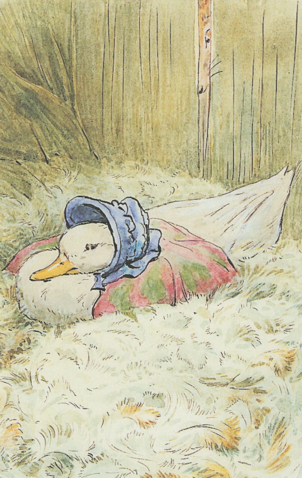The Tale Of Jemima Puddle Duck Beatrix Potter Book Postcard | Topics ...