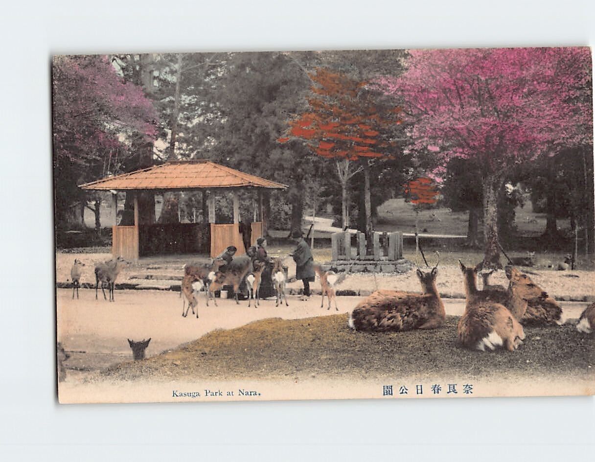 Postcard Kasuga Park at Nara Japan | Asia & Middle East - Japan - Nara ...