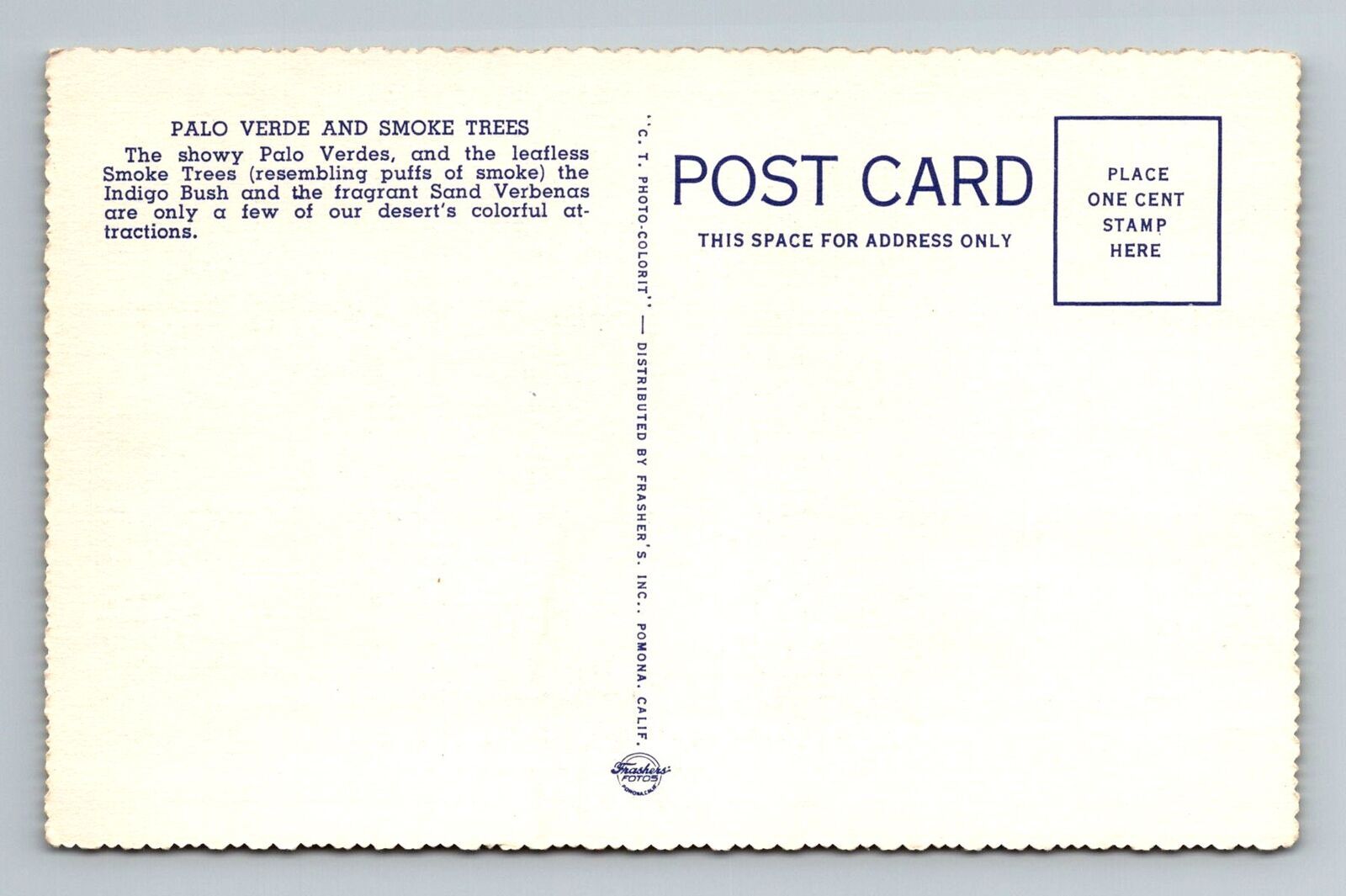 CA-California Palo Verde And Smoke Trees Colorful Desert Scene Vintage ...