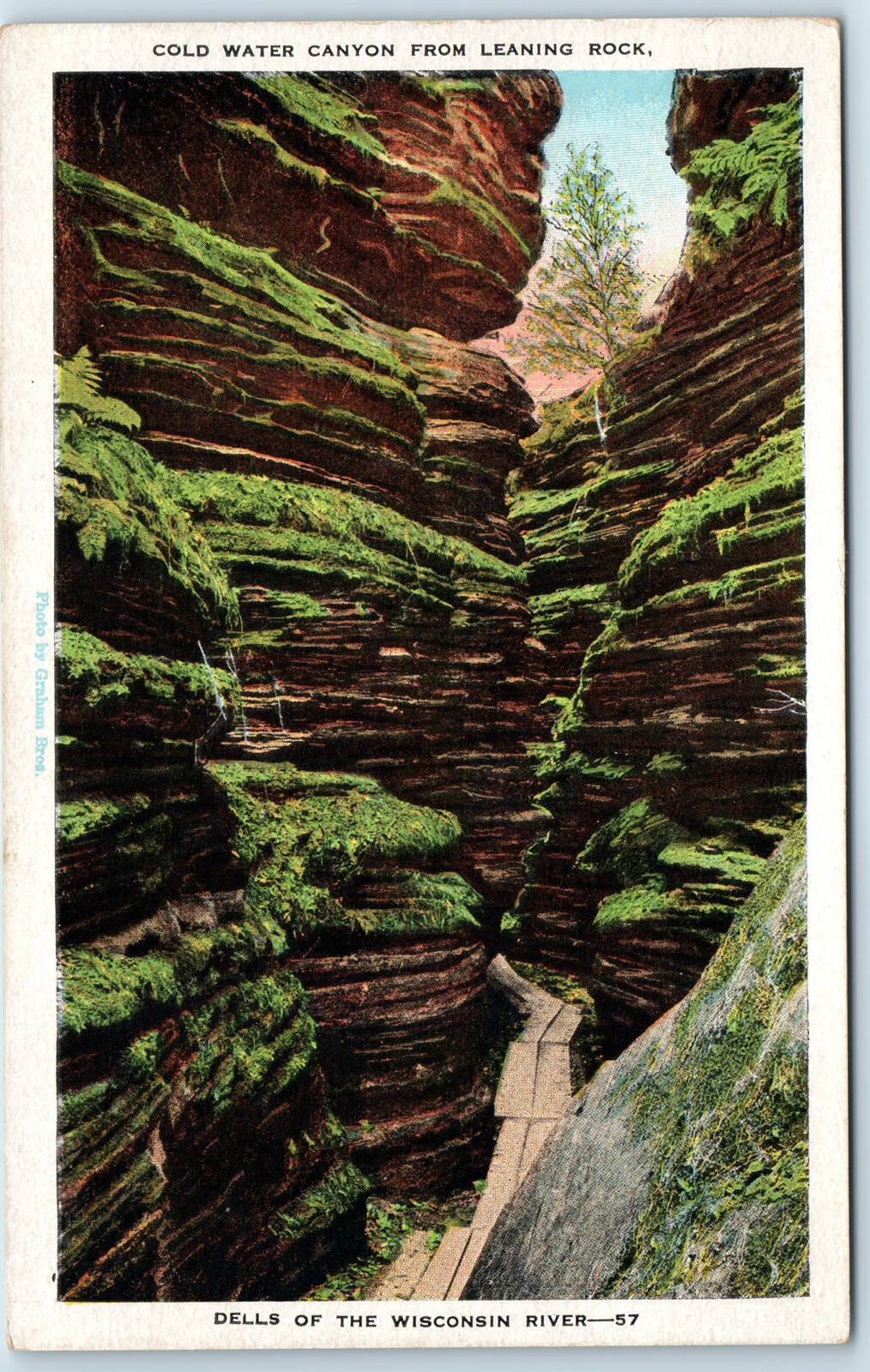 c1920s Wisconsin Dells WI Cold Water Canyon Leaning Rock Plank Path ...
