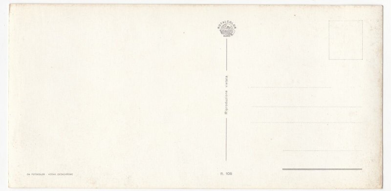 Cheesecake; Unused 1950's Pinup Girl On Beach In Red Bikini Oversize ...