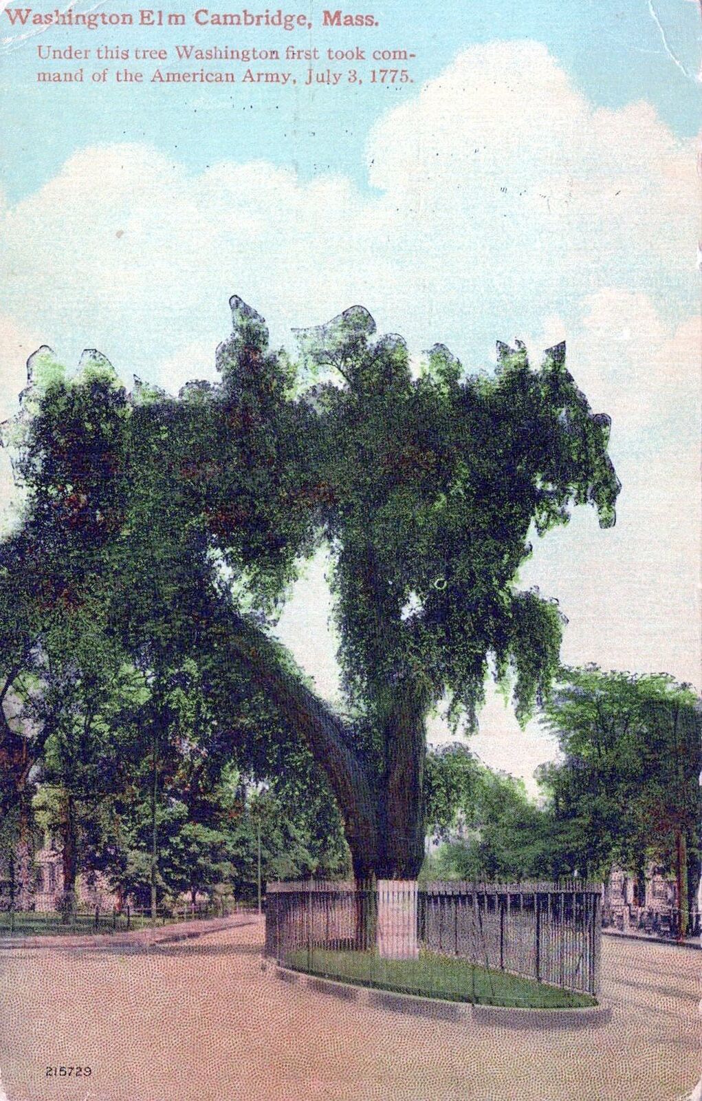 Vintage Postcard the ELM Tree Under Which Washington Took Command (1775 ...