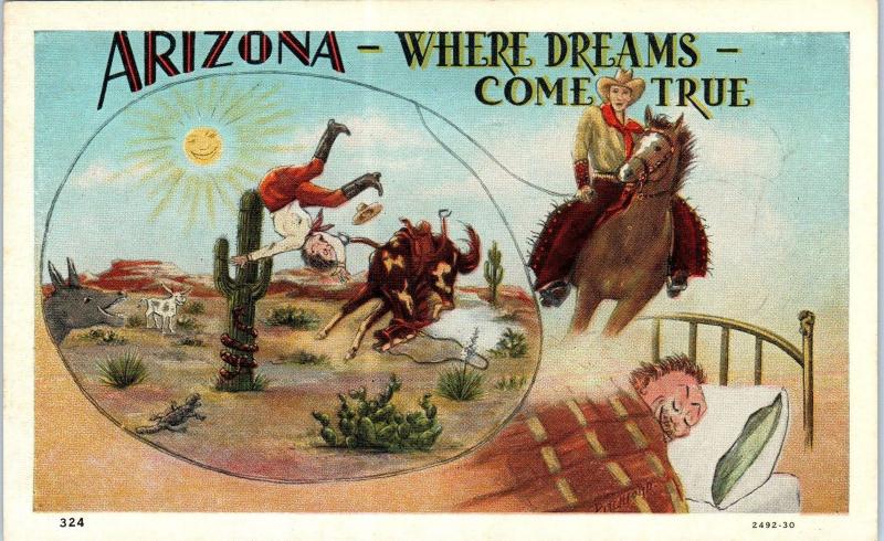 ARIZONA COMIC Postcard- Man Dreams of Falling Off HORSE into CACTUS ...